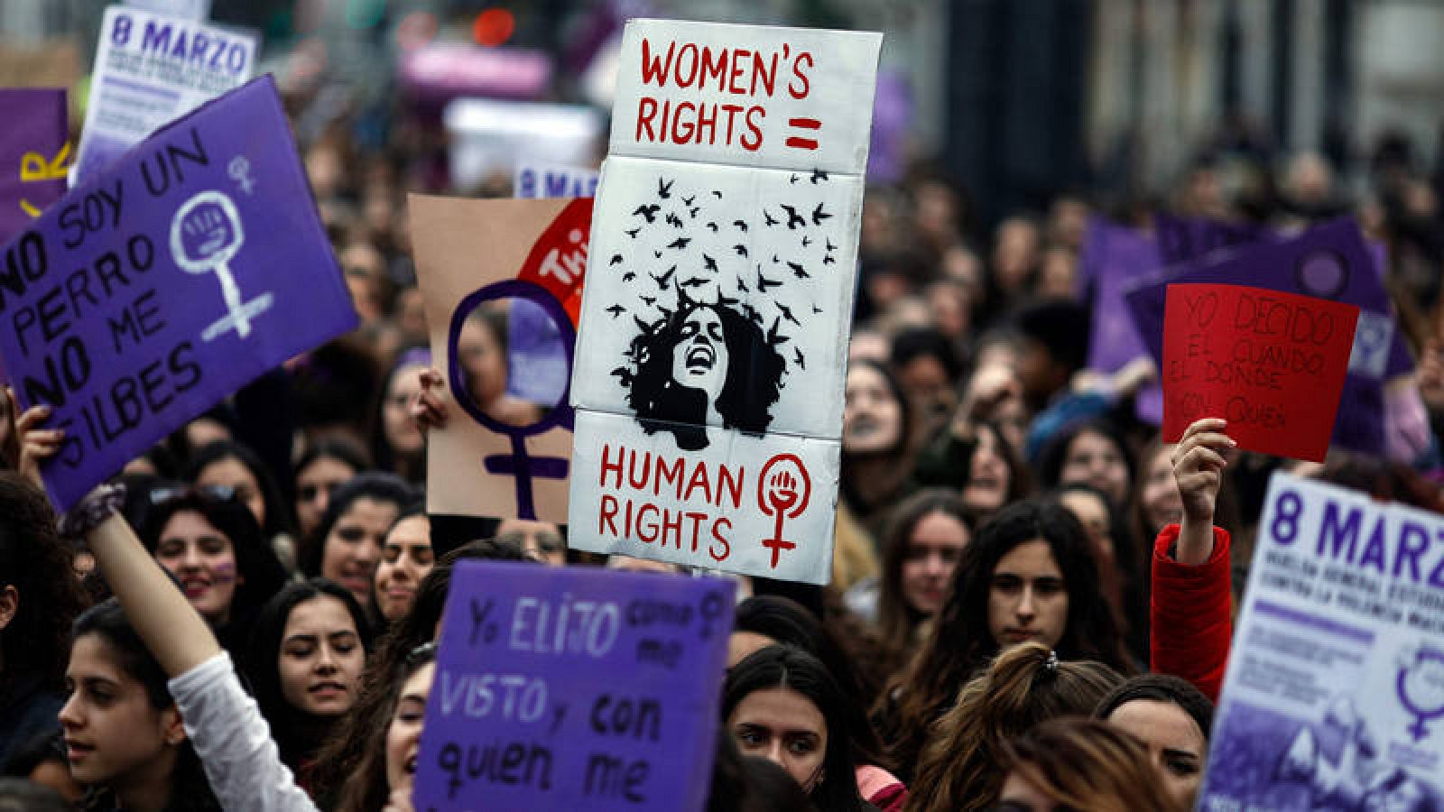 Feminismo La Huelga Y Las Históricas Manifestaciones Del 8m Obligan A