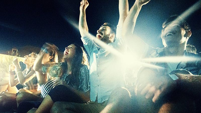 Memoria de delfín - JPelirrojo: The Hee Gee Bee Bees