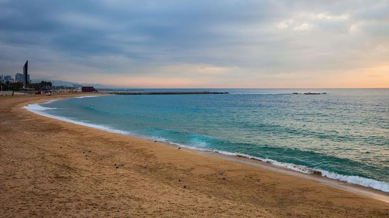 Diferents escoles resolen dubtes sobre el mar al Congrés de Ciència