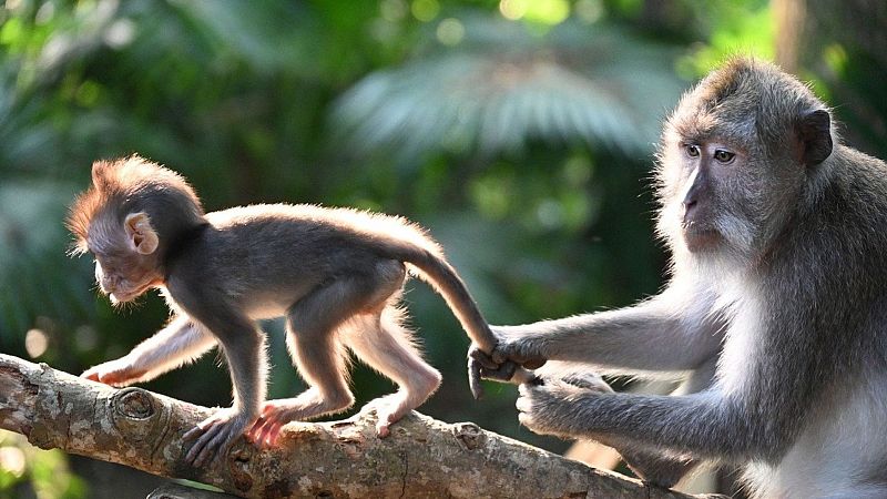Blablando - Mater, matris: madre