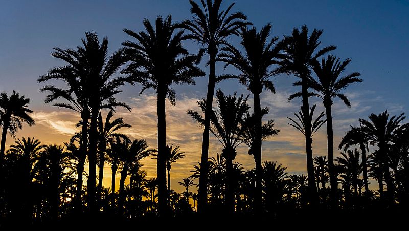 El Guasá: Ha llegado el H.I.P., el Humor de Interés Público