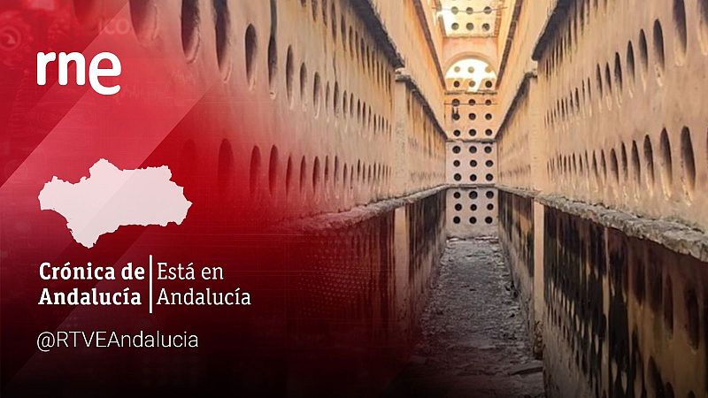 Andalucía Informativos - Programa informativo - RNE | RTVE Audio