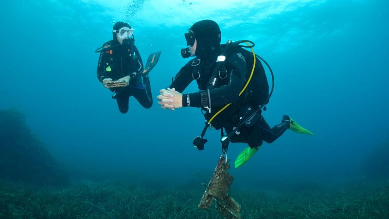 Campanya per reciclar vestits de neoprè a la Costa Brava