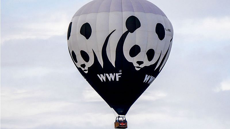 Conocemos la labor de la organización internacional WWF