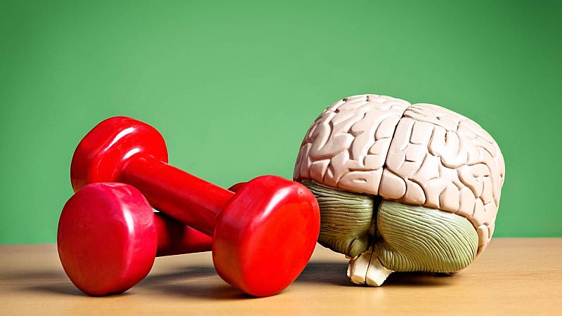 Futuro Abierto Cerebro Y Ejercicio Físico 251124 2416