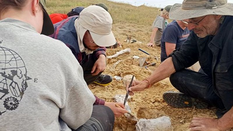 Hallan en Zamora un fósil casi completo del Iberosuchus