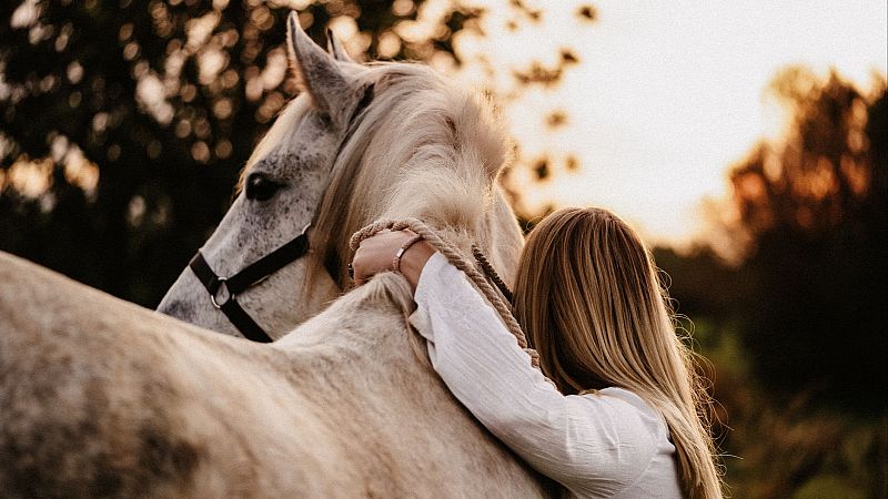 Caballos: compañeros inseparables del ser humano