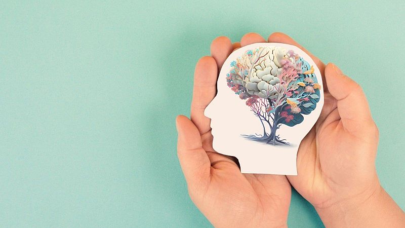"Mentina", una app per a lluitar contra la depressió