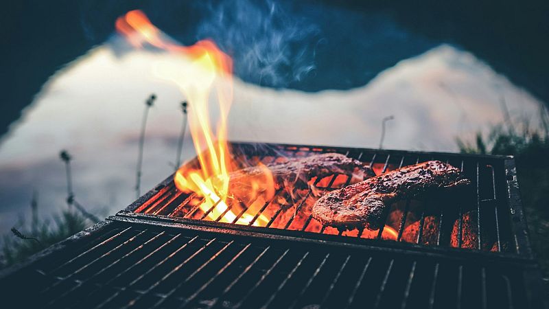Bon dia i bona sort - El carbó per encendre el foc afecta la salut i el ...