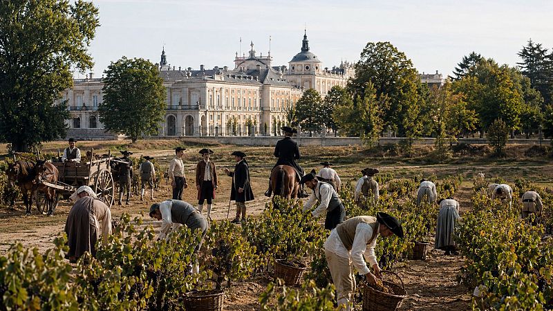 El Cortijo de Carlos III: ideas para un viñedo ilustrado