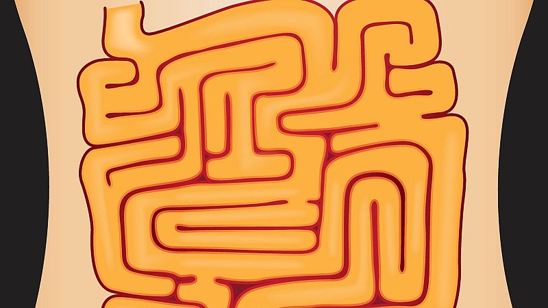 Cuídate con Radio 5 - Las claves del intestino permeable - 03/06/26