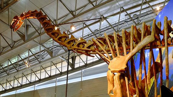 Lógica paleontológica - 'Turiasaurus riodevensis' - 28/10/16