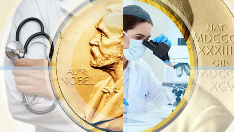 Boletines RNE: Tres estadounidenses obtienen el Premio Nobel de ...