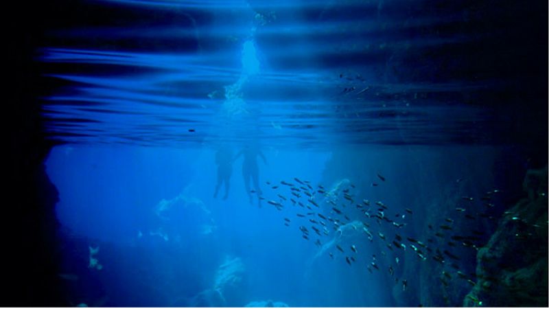 El cine que viene: Fishbone | RTVE Play