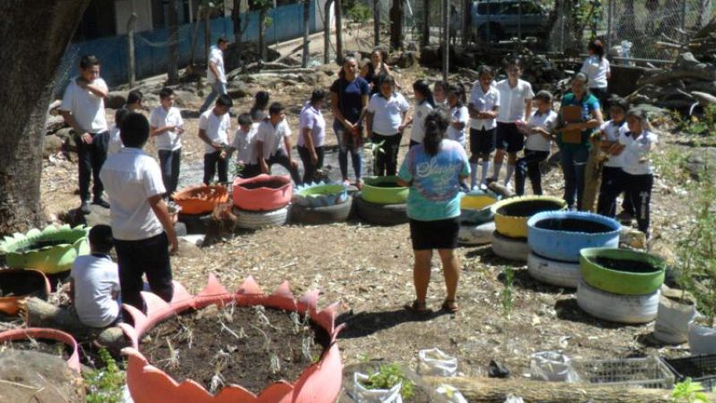 Proyecto Confio