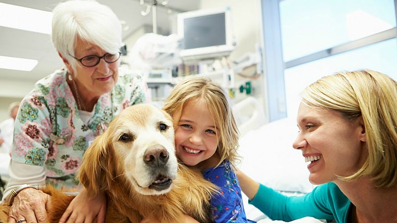 Los perros de alerta médica, un fenómeno que gana adeptos día tras día