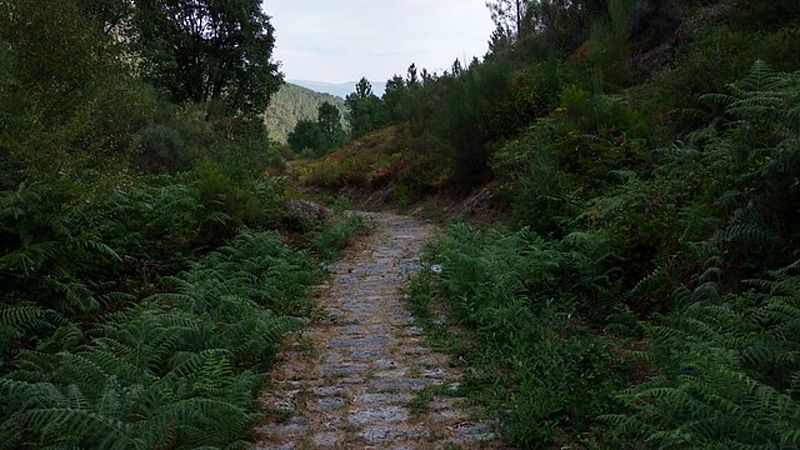 Recorriendo la Via Nova - segunda parte