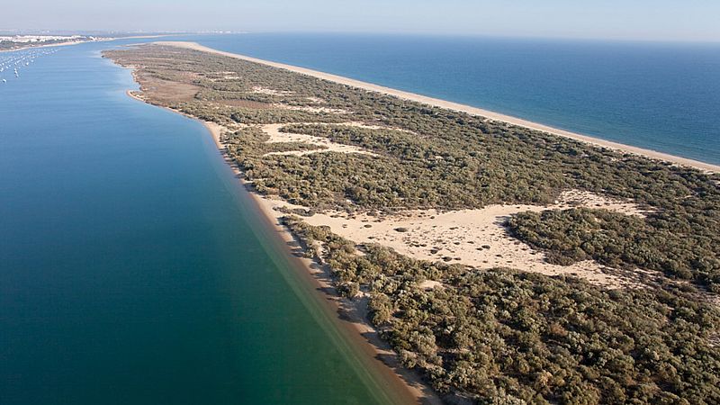 La flecha del Rompido