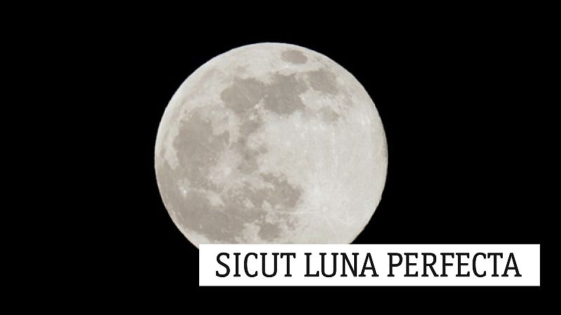 Sicut Luna perfecta - Un homenaje y canto llano y polifonía de Morales ...