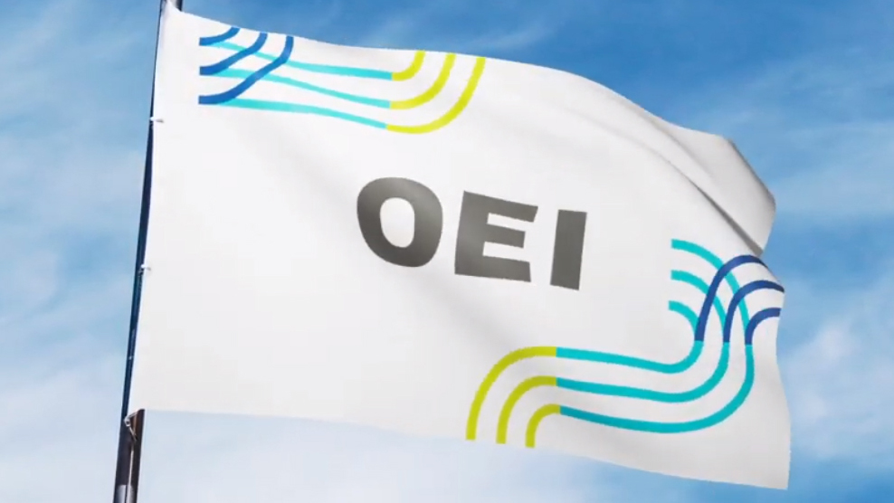 OEI: año nuevo, nueva imagen