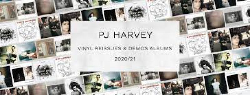 Disco grande - PJ Harvey en el "otro" Glastonbury y Sleater-Kinney ...