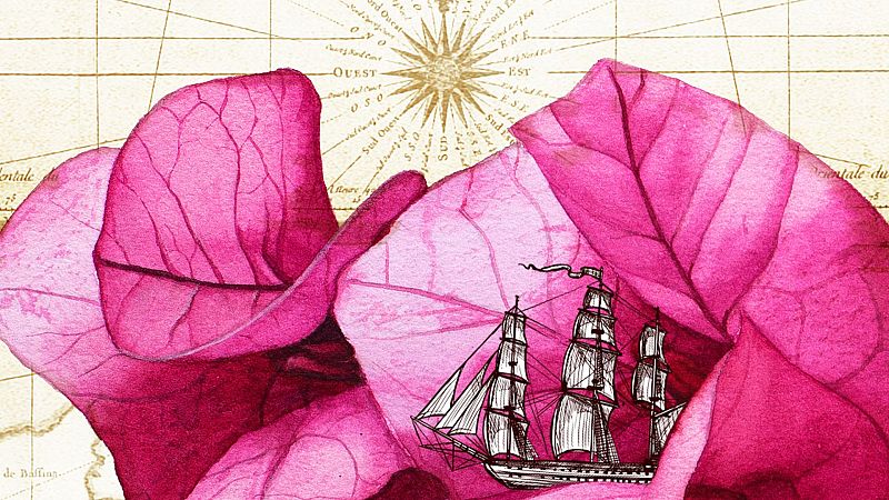 M.Teresa Telleria & Ana Pedroche / Juan de Vicente