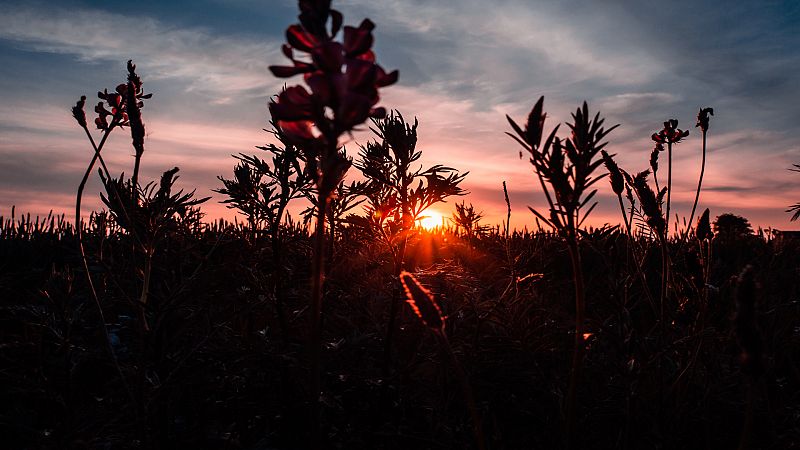 A lo loco y con patines - Justo a tiempo para ver el sol - 26/11/21