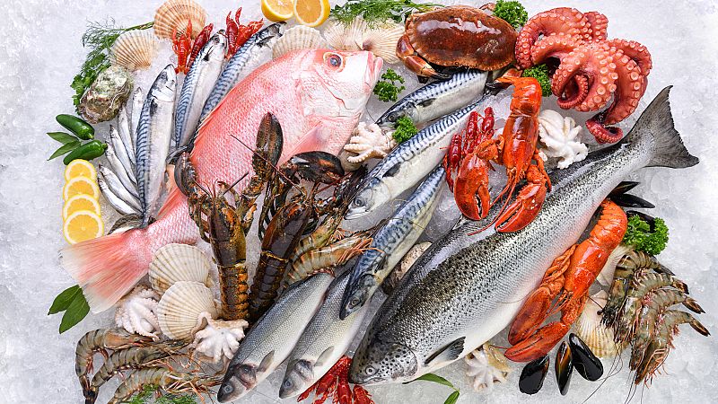 El Mar, un granero de alimentos indispensable