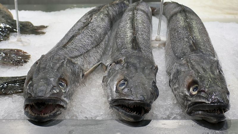 Aumenta la cuota de merluza sur para España