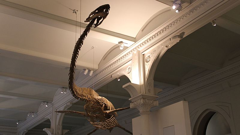 Paleoarte: la paleontología más fidedigna