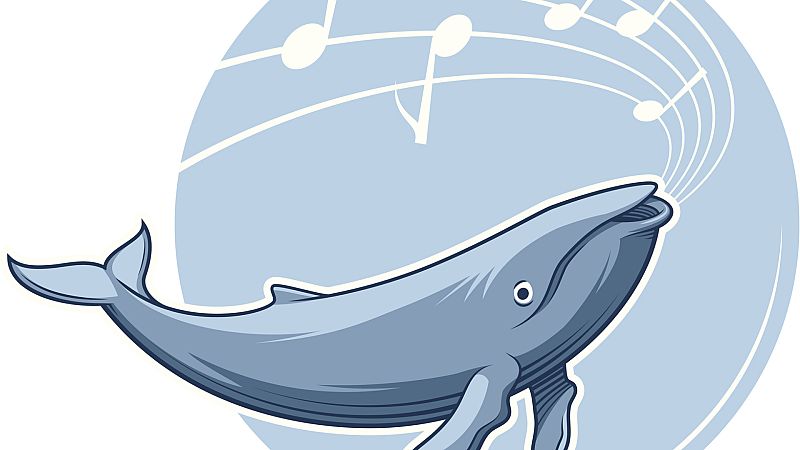 Las ballenas cantan jazz