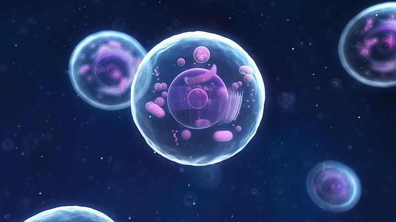 Investigaciones sobre células complejas