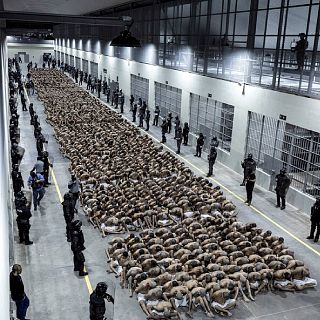 Cinco continentes-El fenómeno de las maras en El Salvador