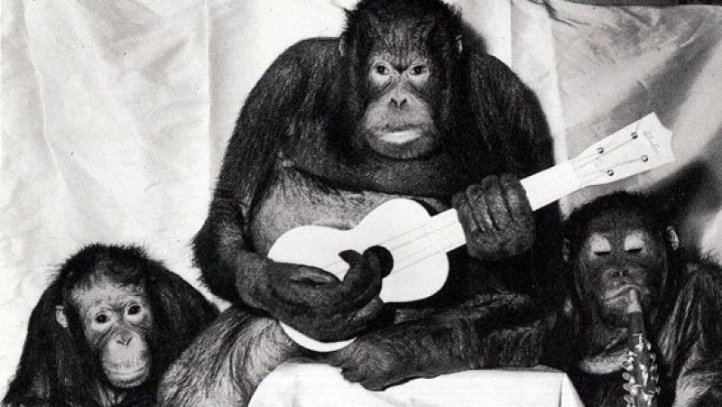 Said the Monkey