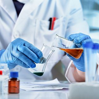 ¿Quién fue Barbara Low?