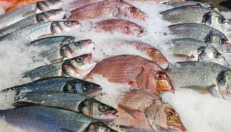 Pescazul, una estrategia nacional del mar a la mesa