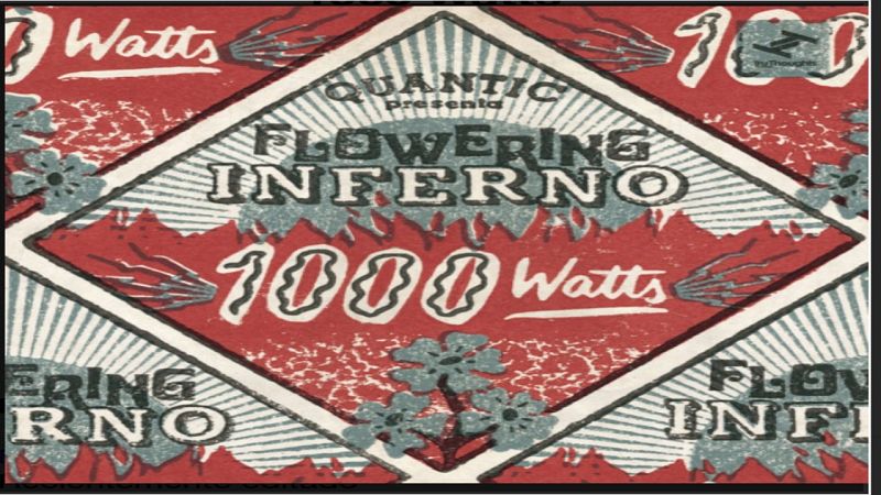 Quantic (08) Flowering Inferno: "1000 Watts" (2016)