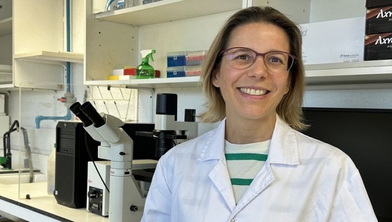 Avui Sortim - Teràpia cel·lular contra la obesitat