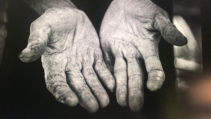 El bosque habitado - Sabi@s y savi@s como La Abuela Margarita y Héctor ...