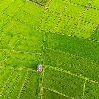 PAC: Sistema de Identificación de Parcelas Agrícolas