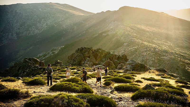 Be Wild Be Proud (III): ¿Ágora¿ compartiendo sueños e ideas