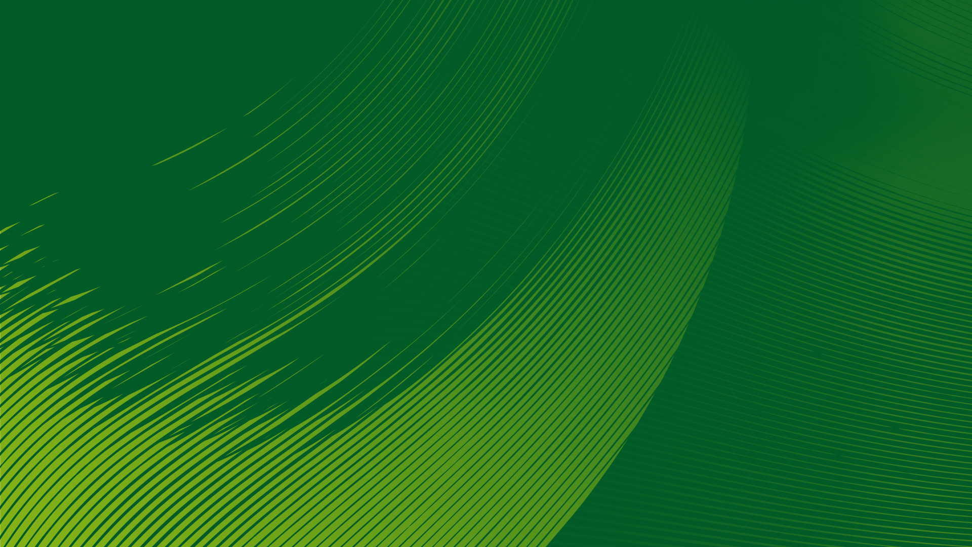 Noticias de última hora, programas y series de televisión - RTVE.es