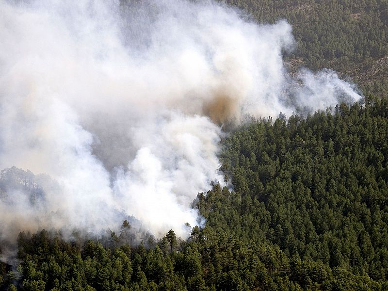 Los Incendios Que Azotan Los Bosques Españoles 41