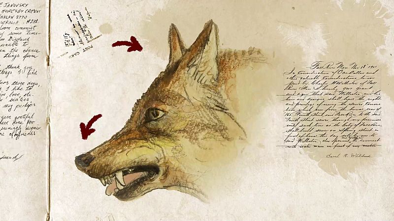 7 datos curiosos sobre los lobos que te van a sorprender | 6