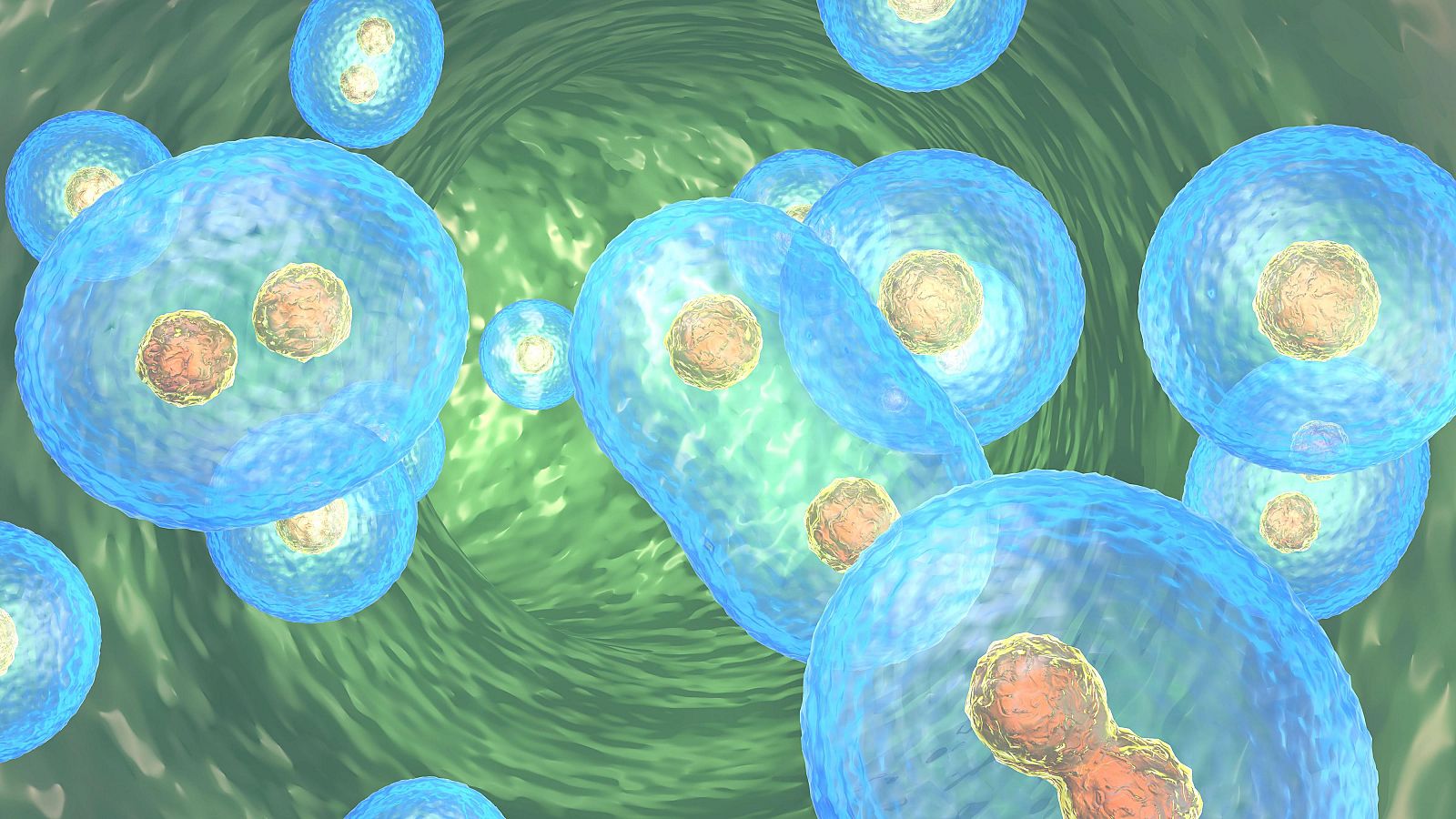 Científicos pactan una guía para detectar células senescentes