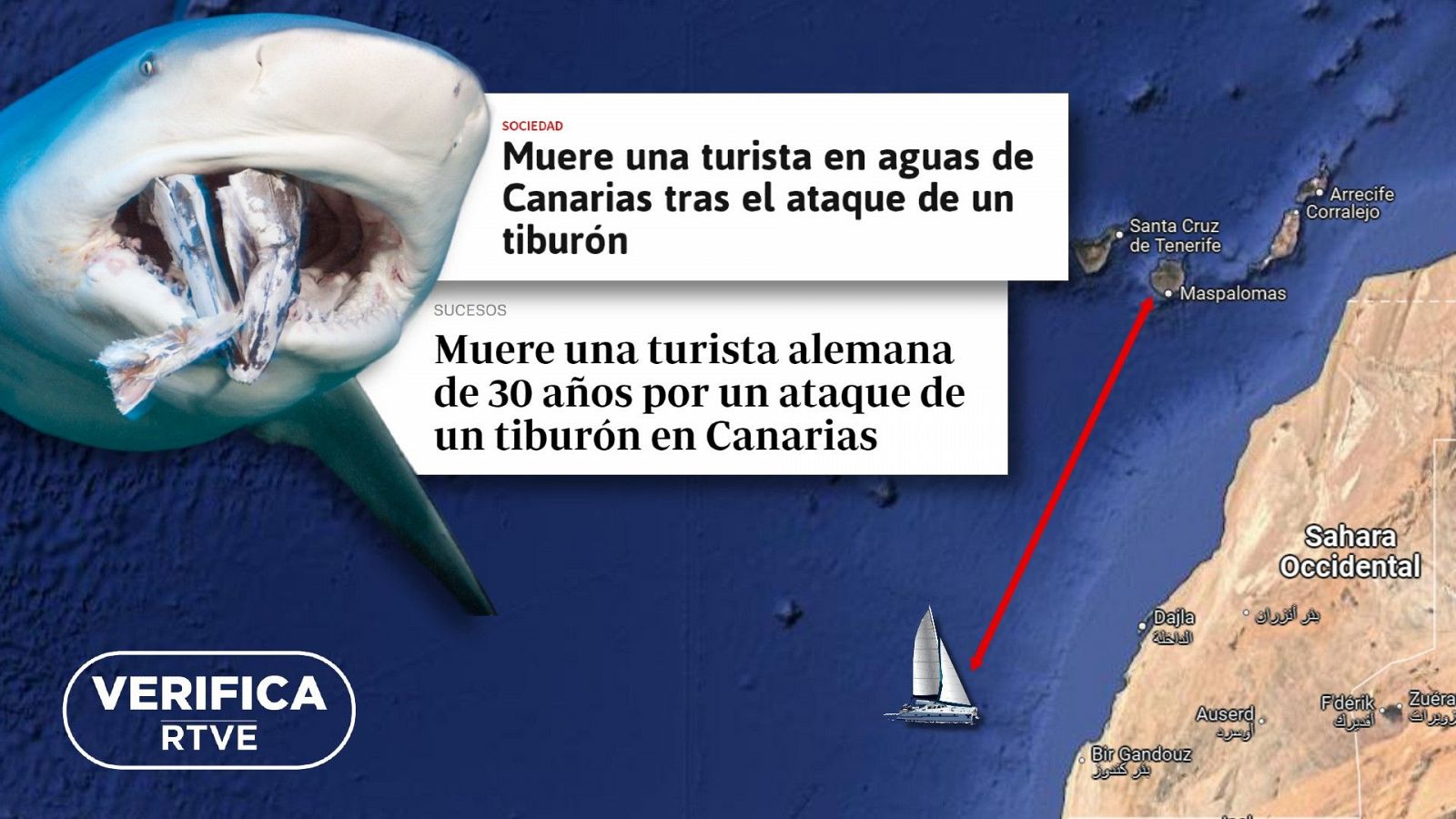Ataques De Tiburones Blancos Tiburón Blanco En Miramar 90lineas.com