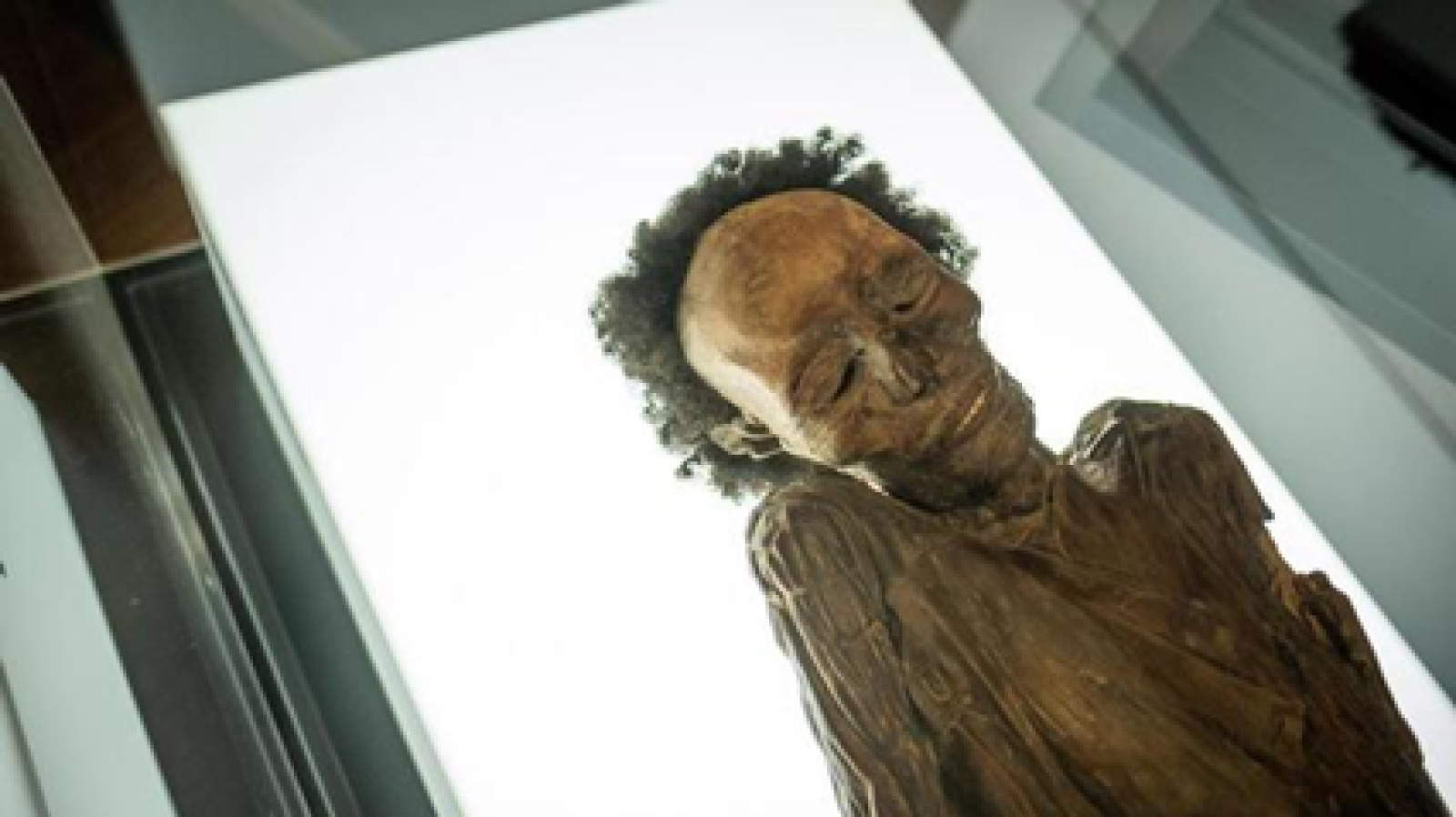 Retiran la momia guanche del Museo Arqueológico y Tenerife la reclama