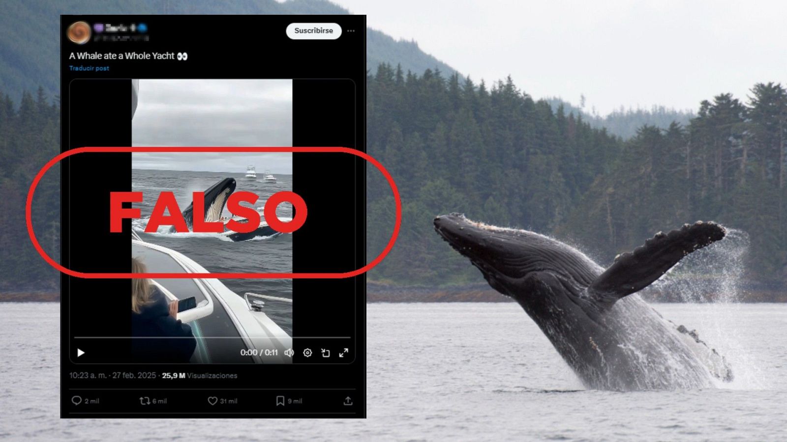 No es una ballena comiéndose un yate, es un vídeo creado con IA