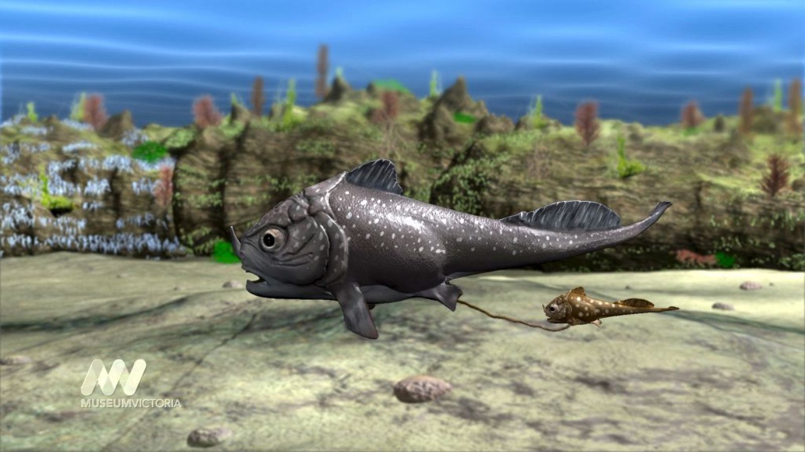 Los peces de la prehistoria, pioneros de la copulación reproductiva