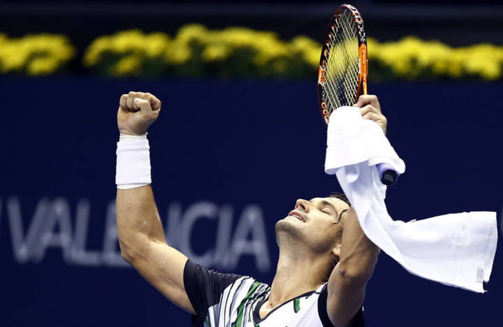 Tenis | Ferrer y Murray se citan en semifinales del torneo de Valencia ...